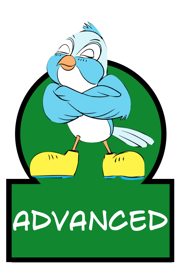 WBT Basics – Whole Brain Teaching